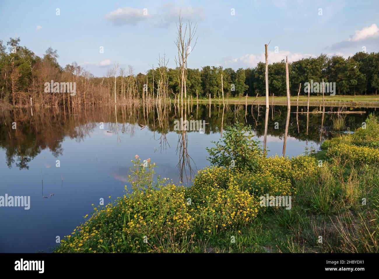 Mining subsidence area hi-res stock photography and images - Alamy