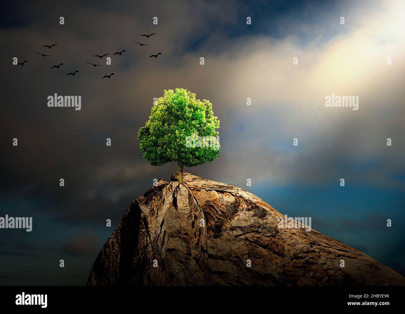 tree alone on rocky mantle with faint light coming from the sky, 3D ...