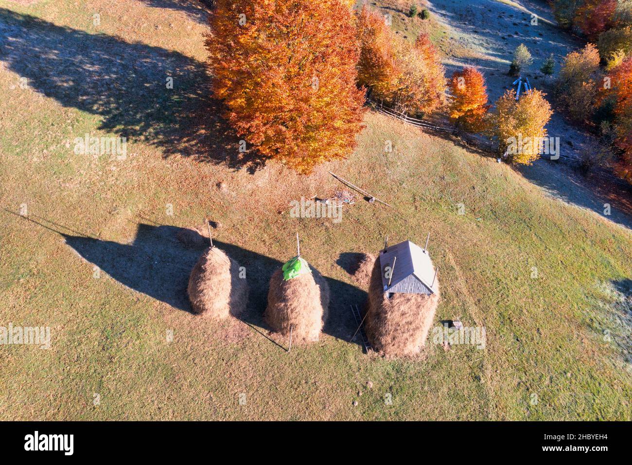 Hay stacks covered with roof and standing on meadow among high yellowed ...