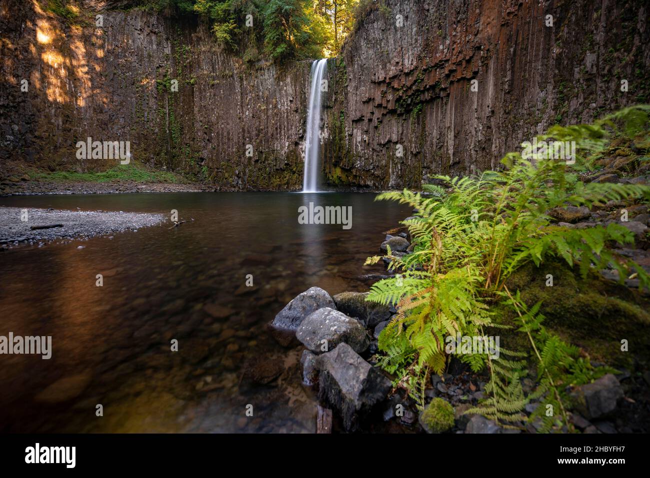 Waterfall, rock face with basalt columns, fern on the bank, Abiqua ...