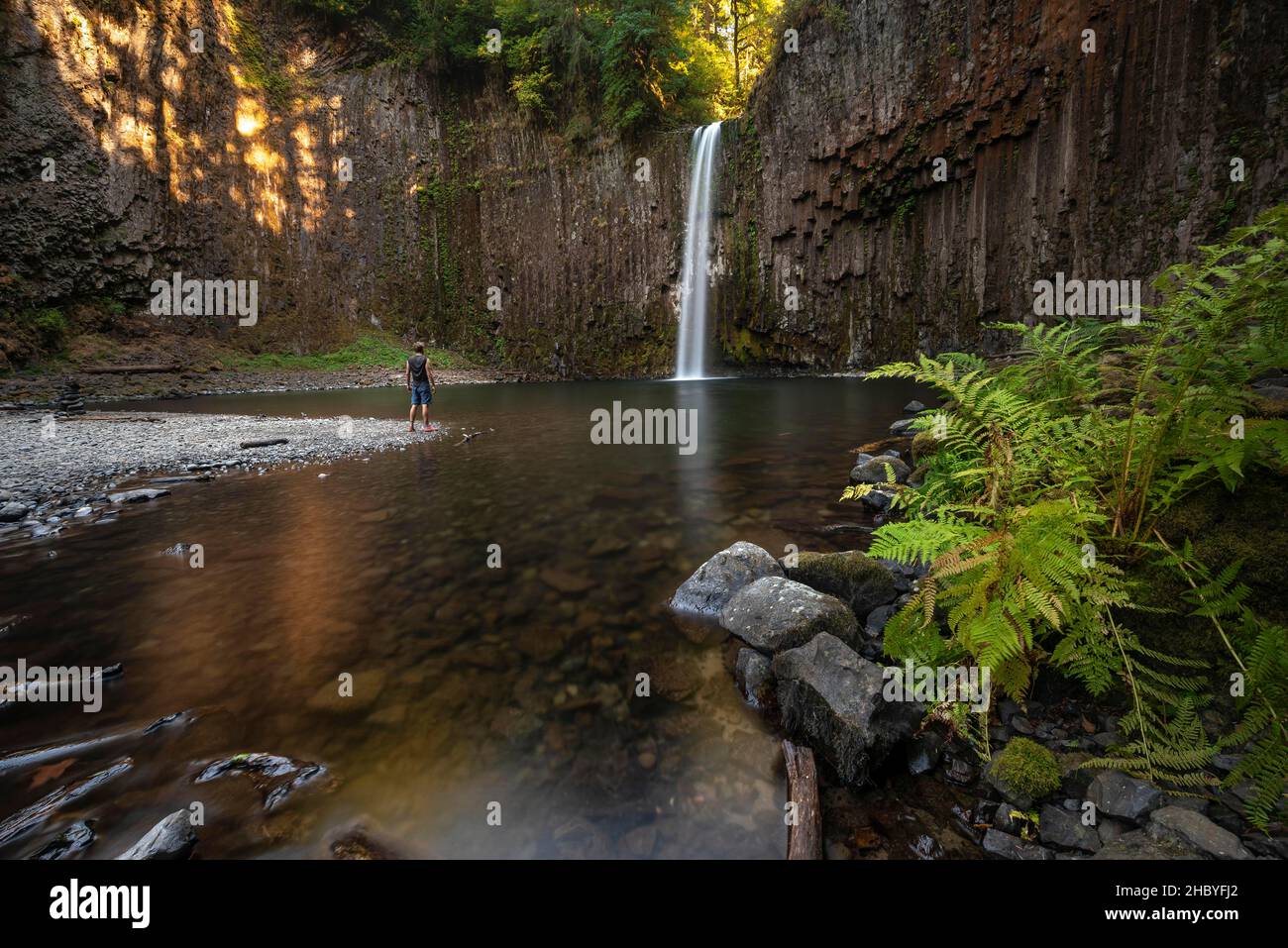 Young man in front of waterfall, rock face with basalt columns, fern on ...