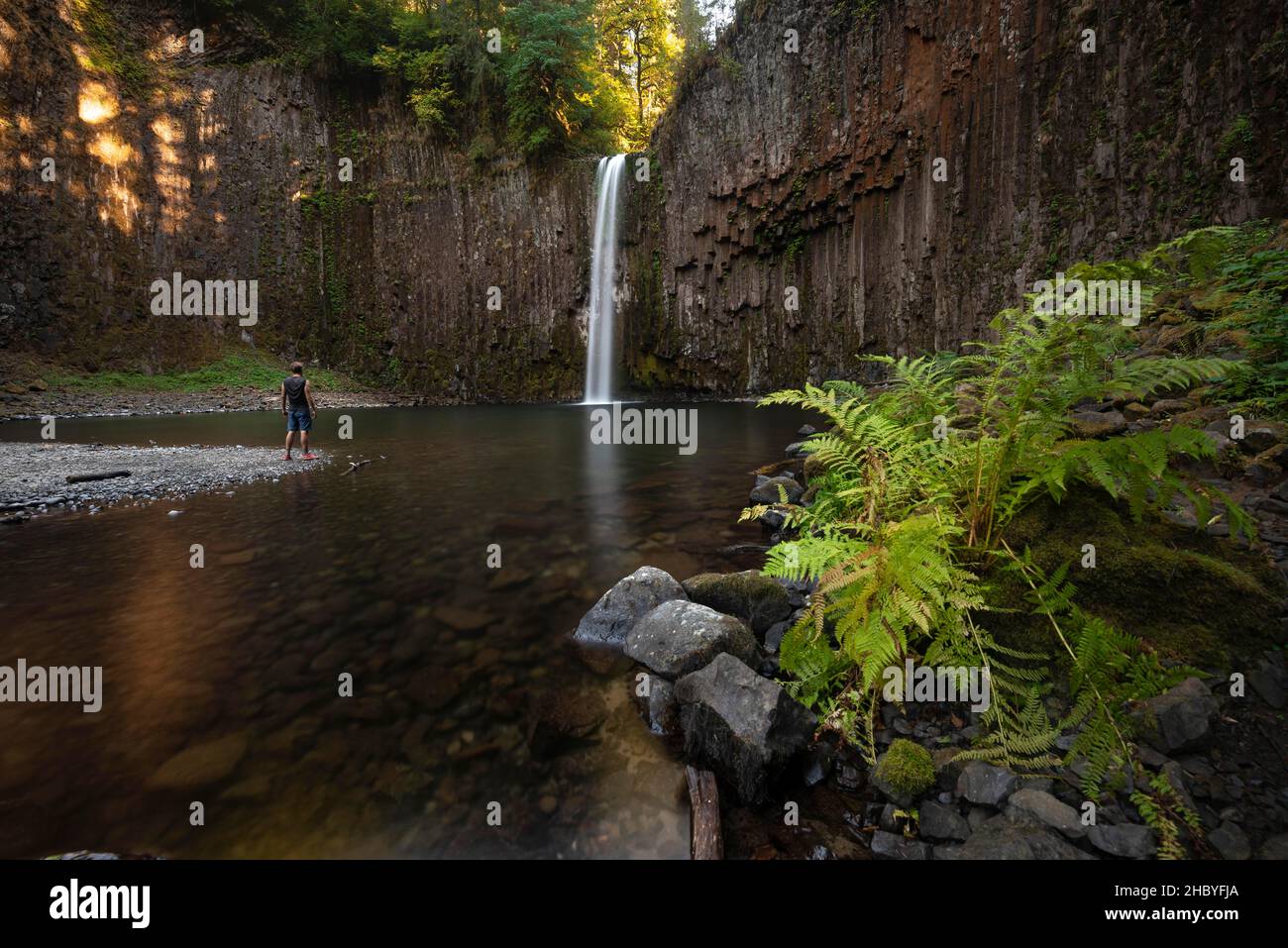 Young man in front of waterfall, rock face with basalt columns, fern on ...
