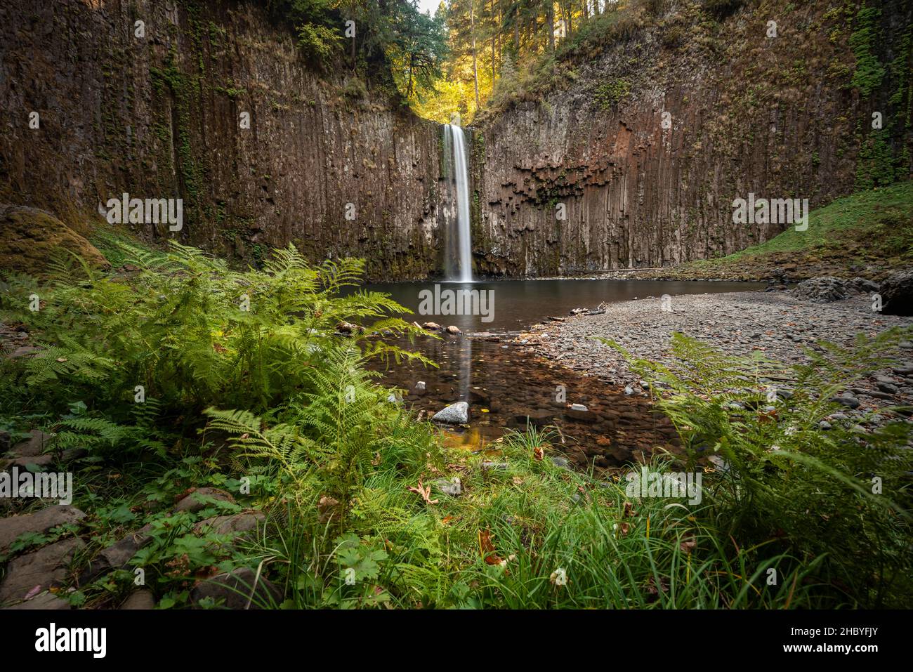 Waterfall, rock face with basalt columns, fern on the bank, Abiqua ...