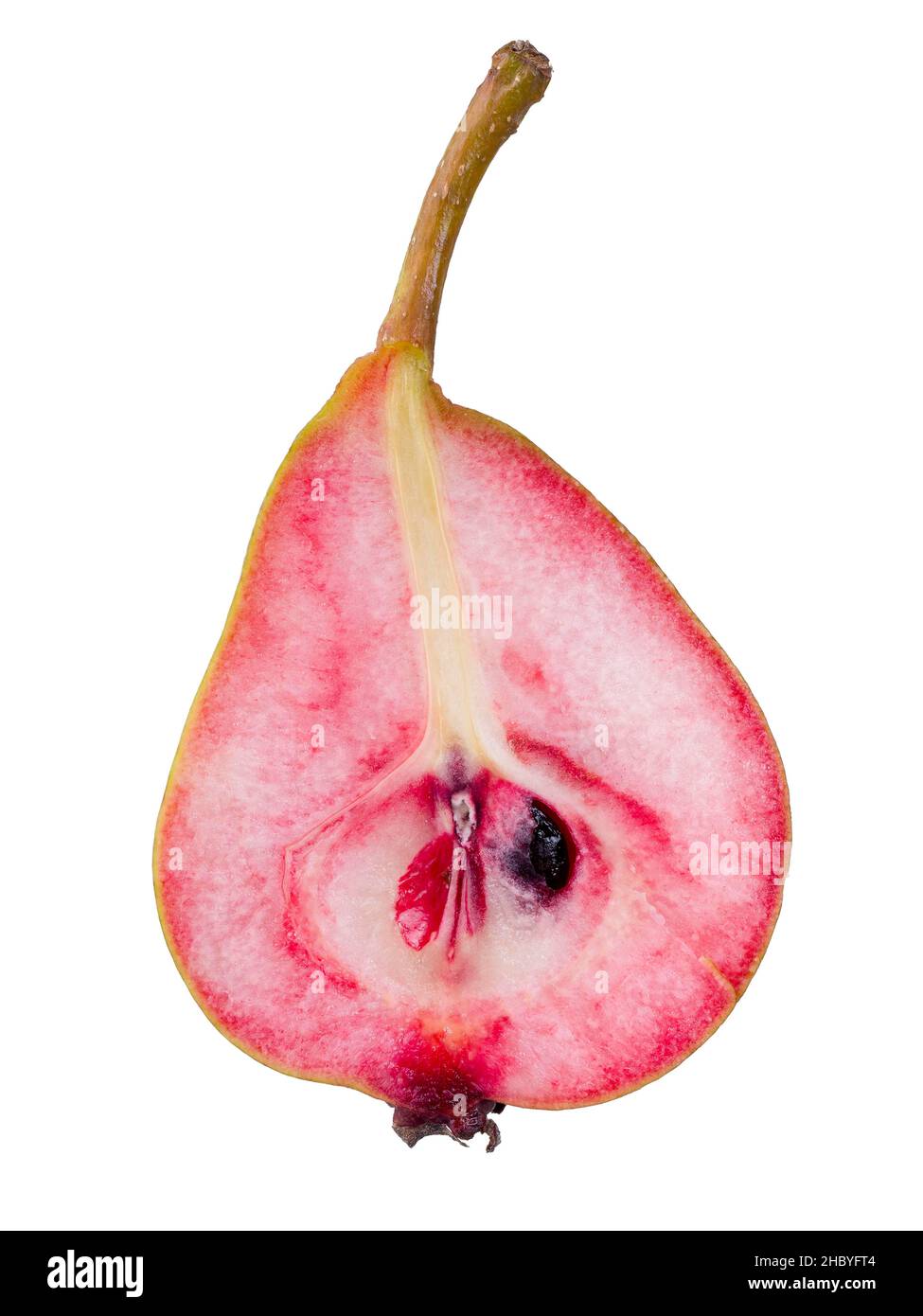 Pear variety Westphalian Blood Pear, sectional view, halved Stock Photo ...