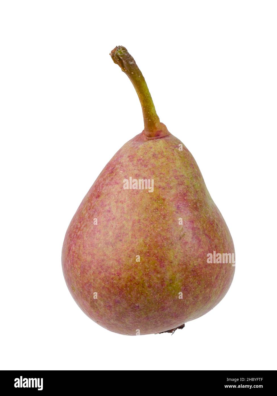 Black pear hi-res stock photography and images - Alamy