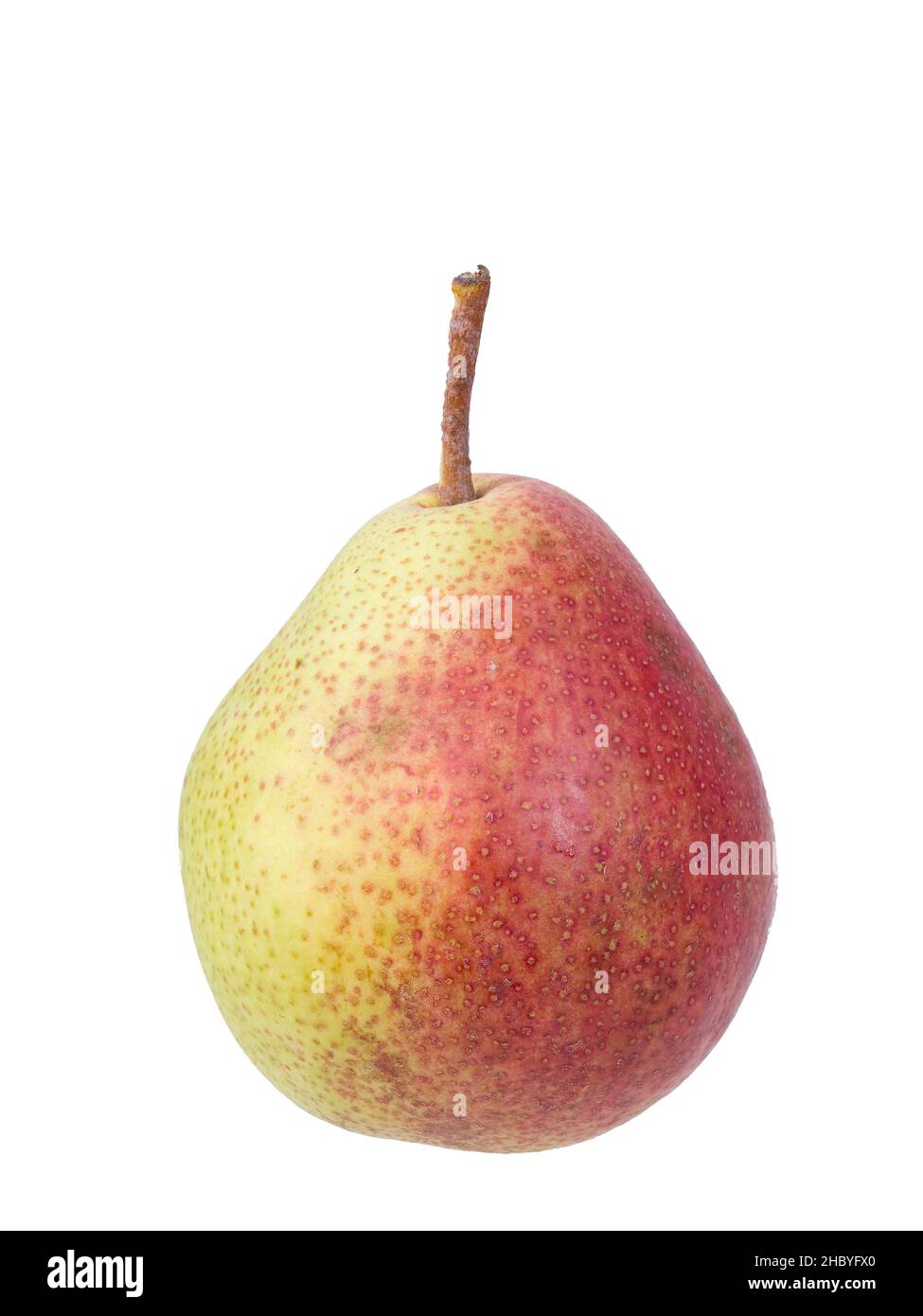 Pear variety Trout pear, free-standing Stock Photo - Alamy