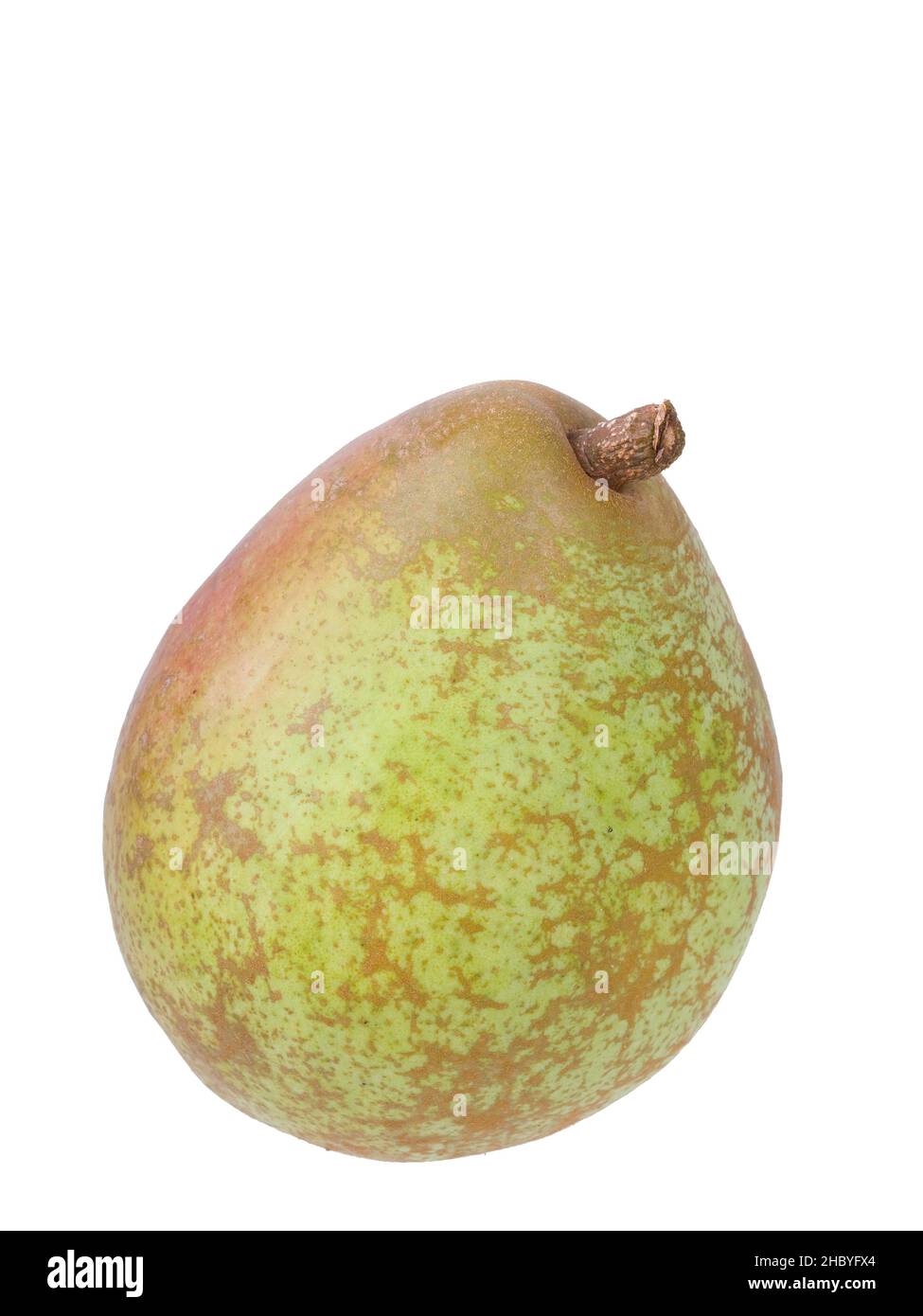 Pear variety Anjou, free-standing Stock Photo - Alamy