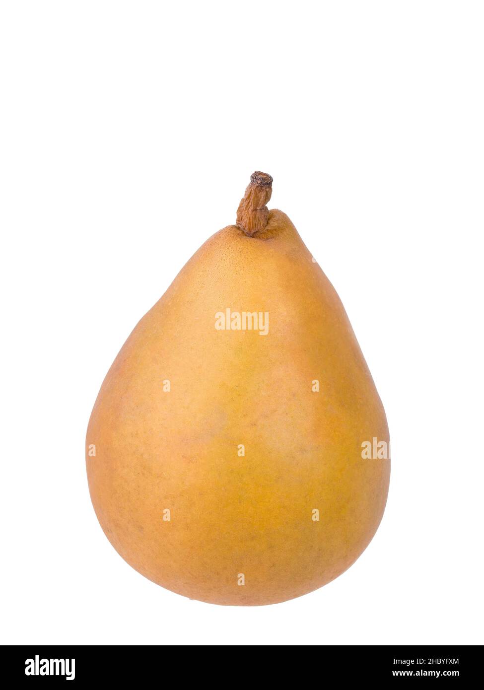 Pear variety Grand Champion, free-standing Stock Photo - Alamy