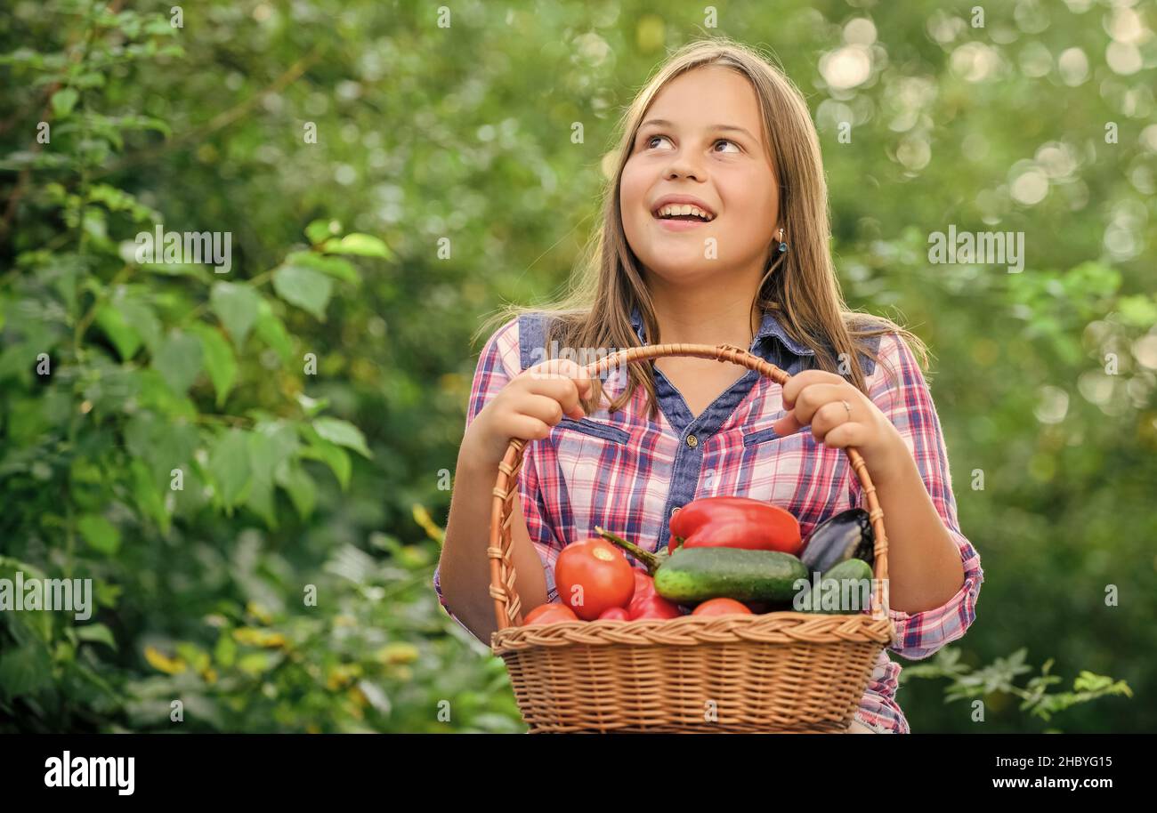 Food blogger. kid on summer farm. Organic food. harvest vitamin. spring ...