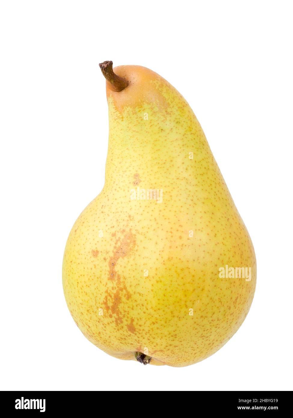 Pear variety Abbe Fetel Stock Photo - Alamy