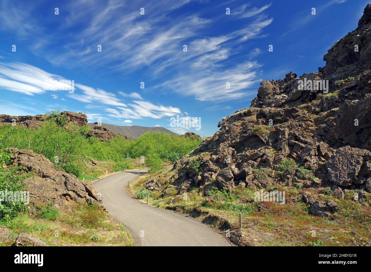 Narrow path, leads through lava fields, low trees, Dimmunborgir, Myvatn ...
