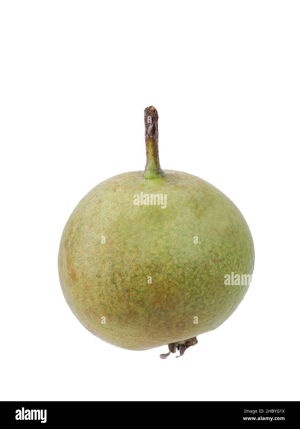 Welsche hi-res stock photography and images - Alamy