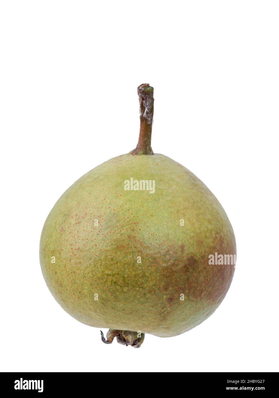 Welsche hi-res stock photography and images - Alamy