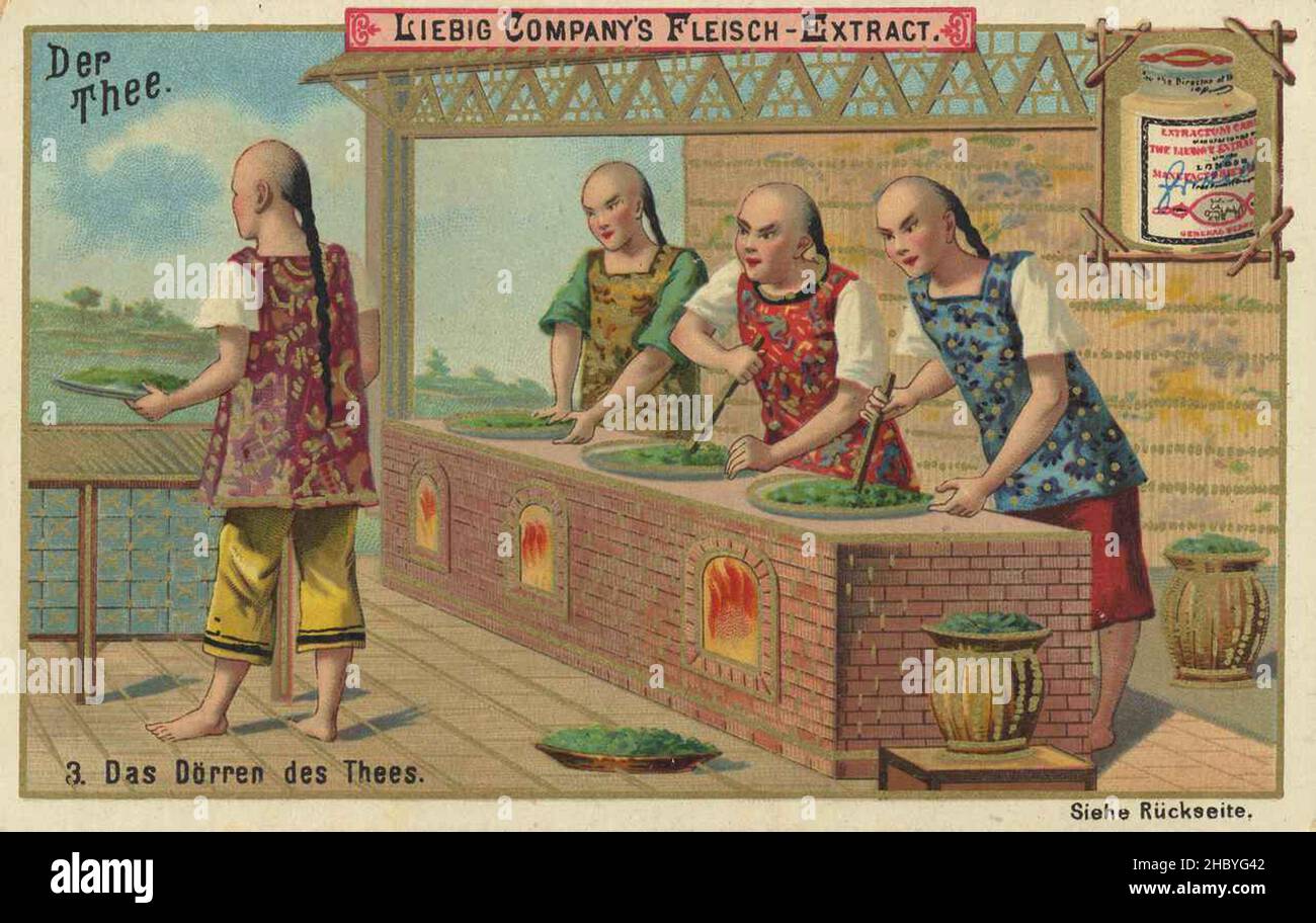 Teacup images hi-res stock photography and images - Alamy