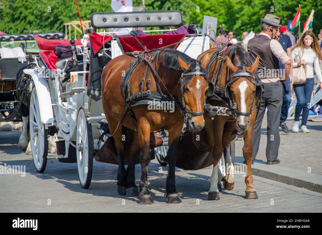 Berlin, Germany in June Summertime 2016 Stock Photo - Alamy