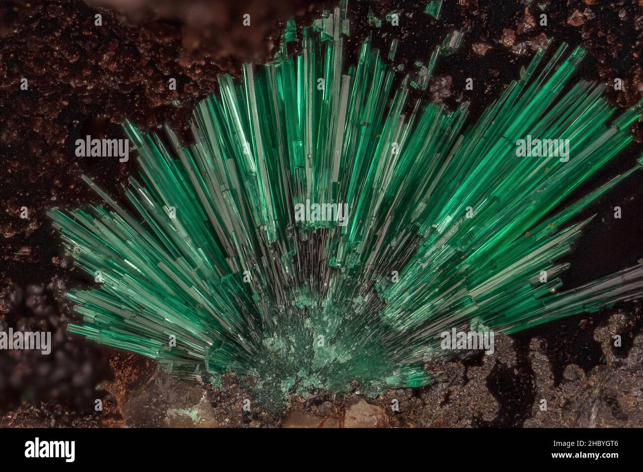 Micromount hi-res stock photography and images - Alamy
