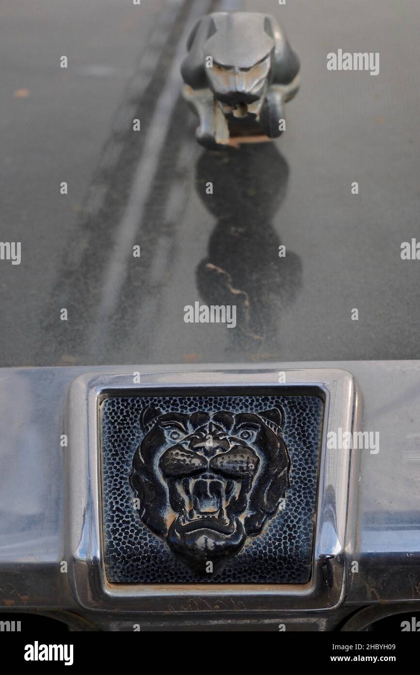 Jaguar logo and radiator mascot, classic car Stock Photo - Alamy