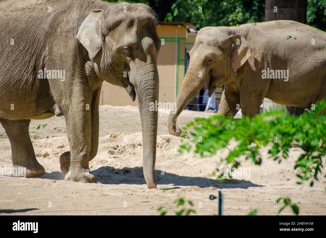 Berlin germany in june hi-res stock photography and images - Alamy