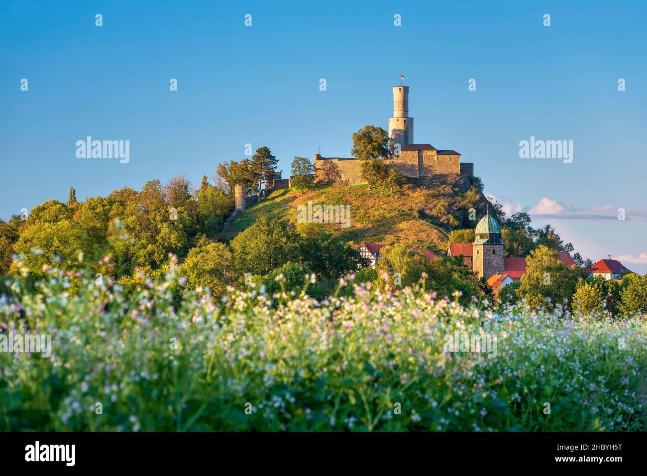 Felsburg castle hi-res stock photography and images - Alamy
