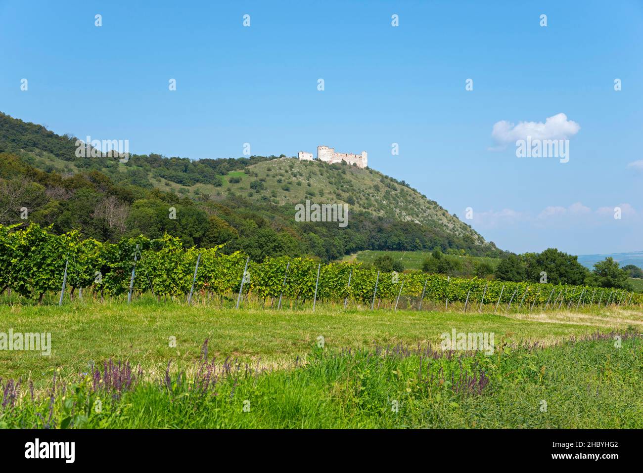 Czech south moravian region hi-res stock photography and images - Alamy