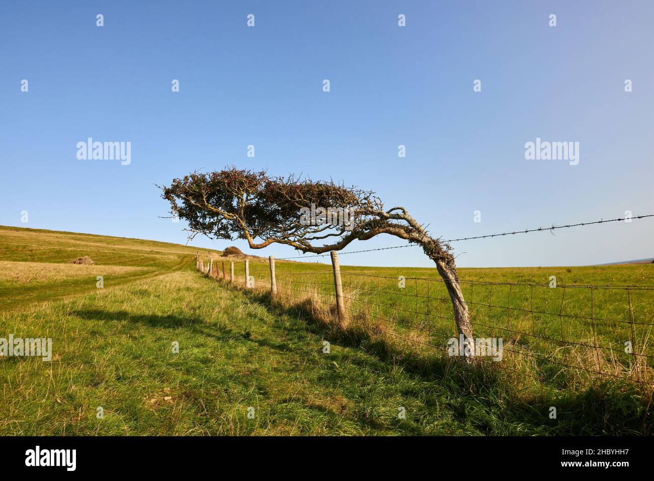 Prevailing hi-res stock photography and images - Alamy