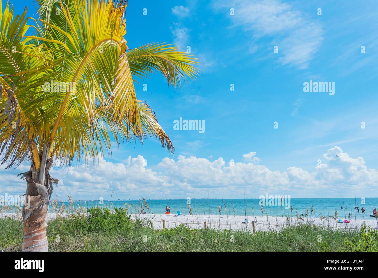 Sanibel island beach hi-res stock photography and images - Alamy