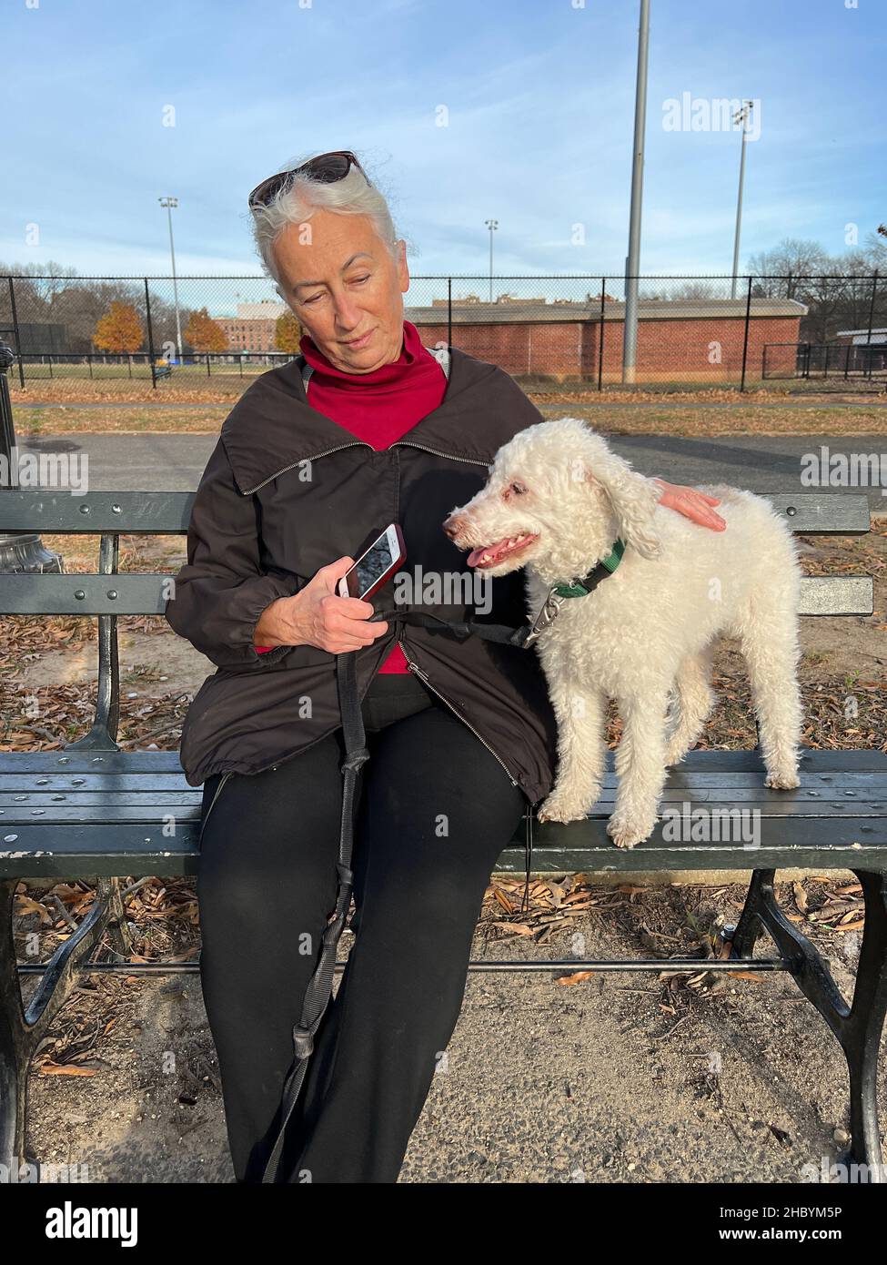 Retired senior citizen with her dog at the park, Brooklyn, NY Stock ...