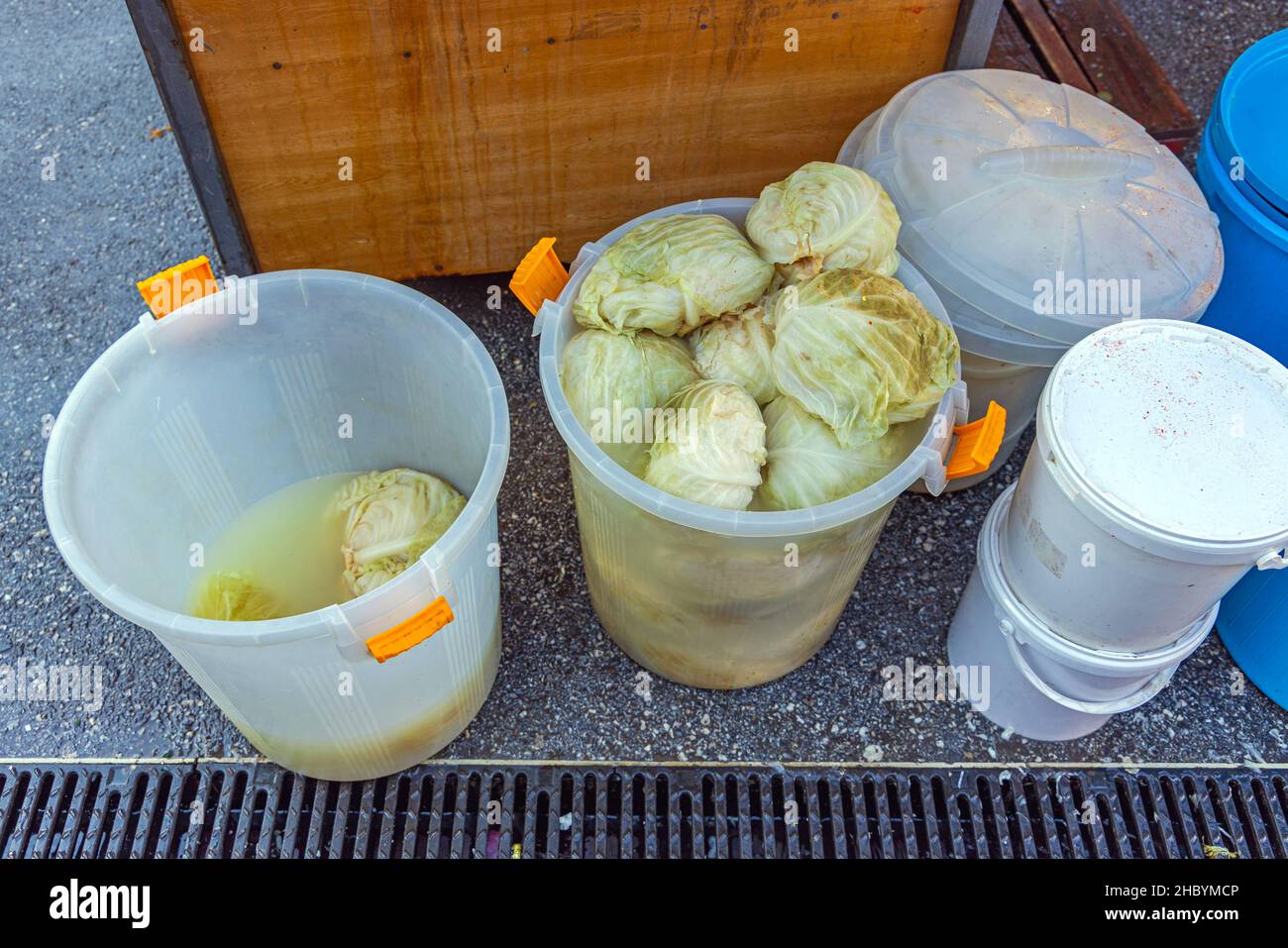 Whole Sour Cabbage Fermented Sauerkraut in Buckets Stock Photo - Alamy