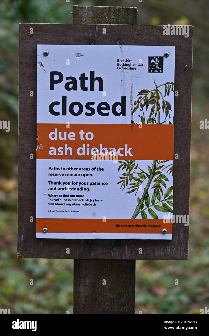 Ash dieback sign hi-res stock photography and images - Alamy