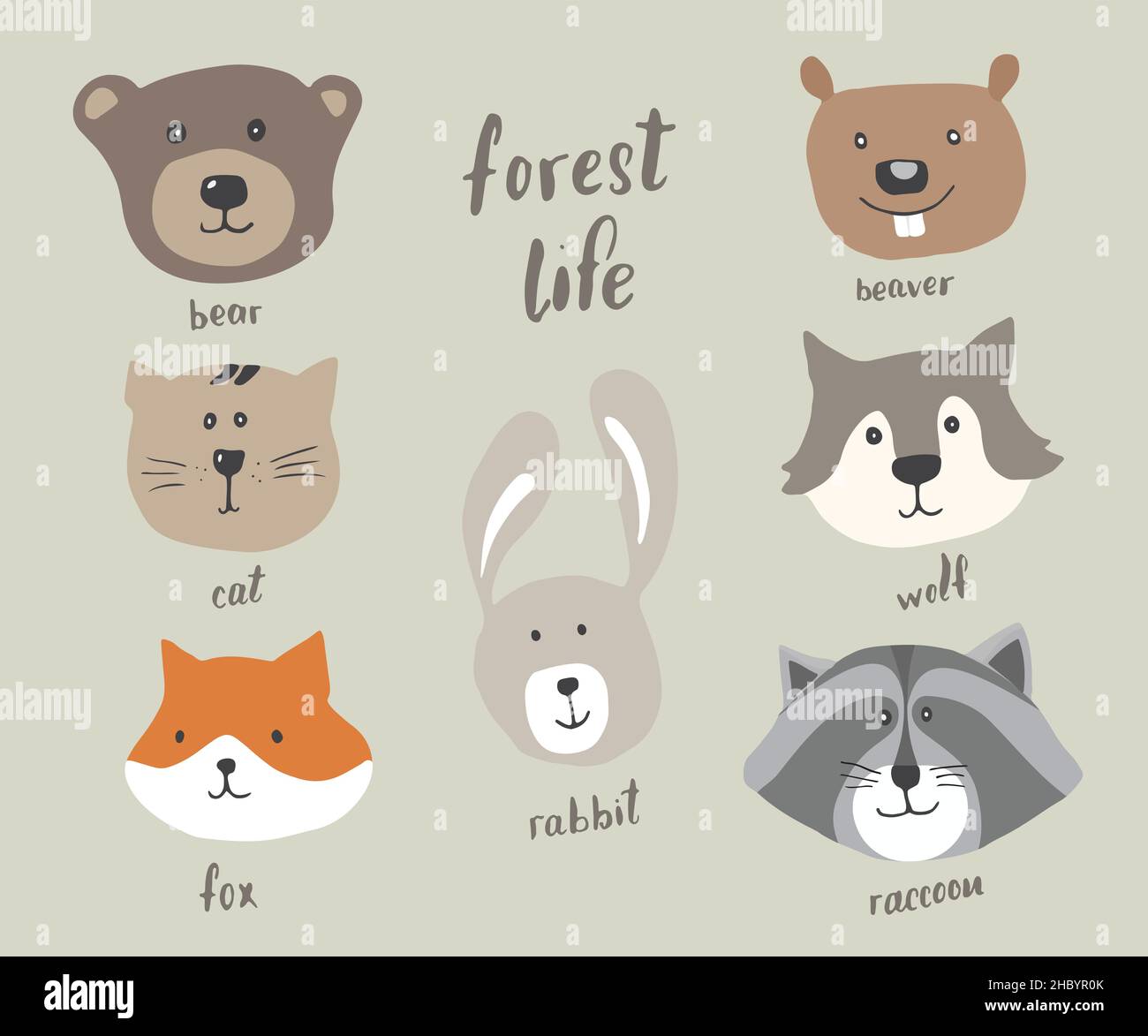 Cute Animal heads. Cartoon forest wildlife animals collection, fox ...