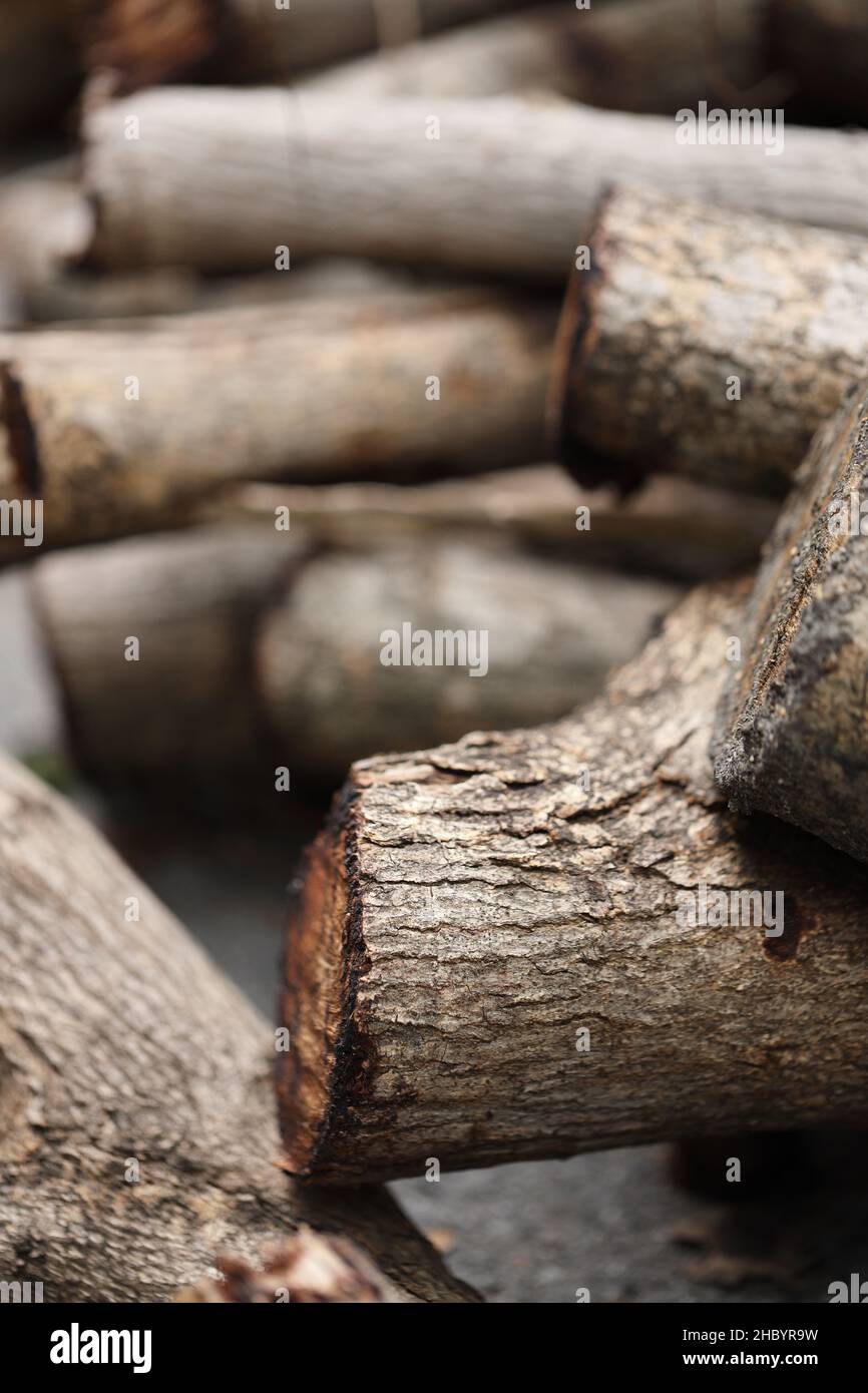 The picture stack of log Stock Photo - Alamy