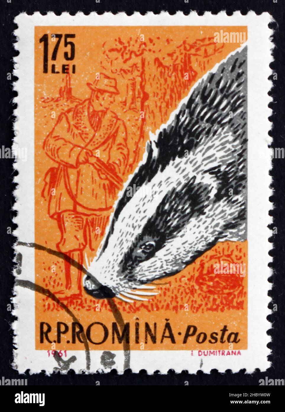 ROMANIA - CIRCA 1961: a stamp printed in the Romania shows Badger and ...