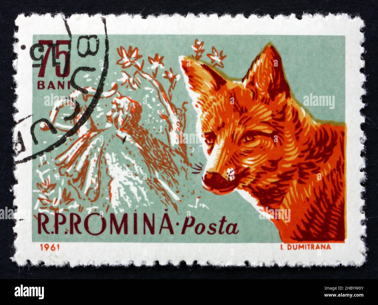 ROMANIA - CIRCA 1961: a stamp printed in the Romania shows Red Fox and ...