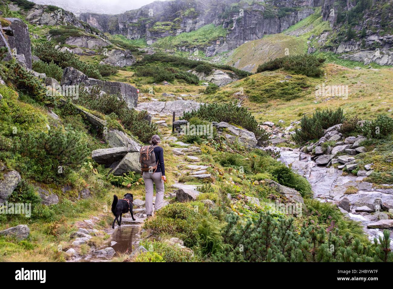 Woman hiking with her dog in the High Tauern National Park, the ...