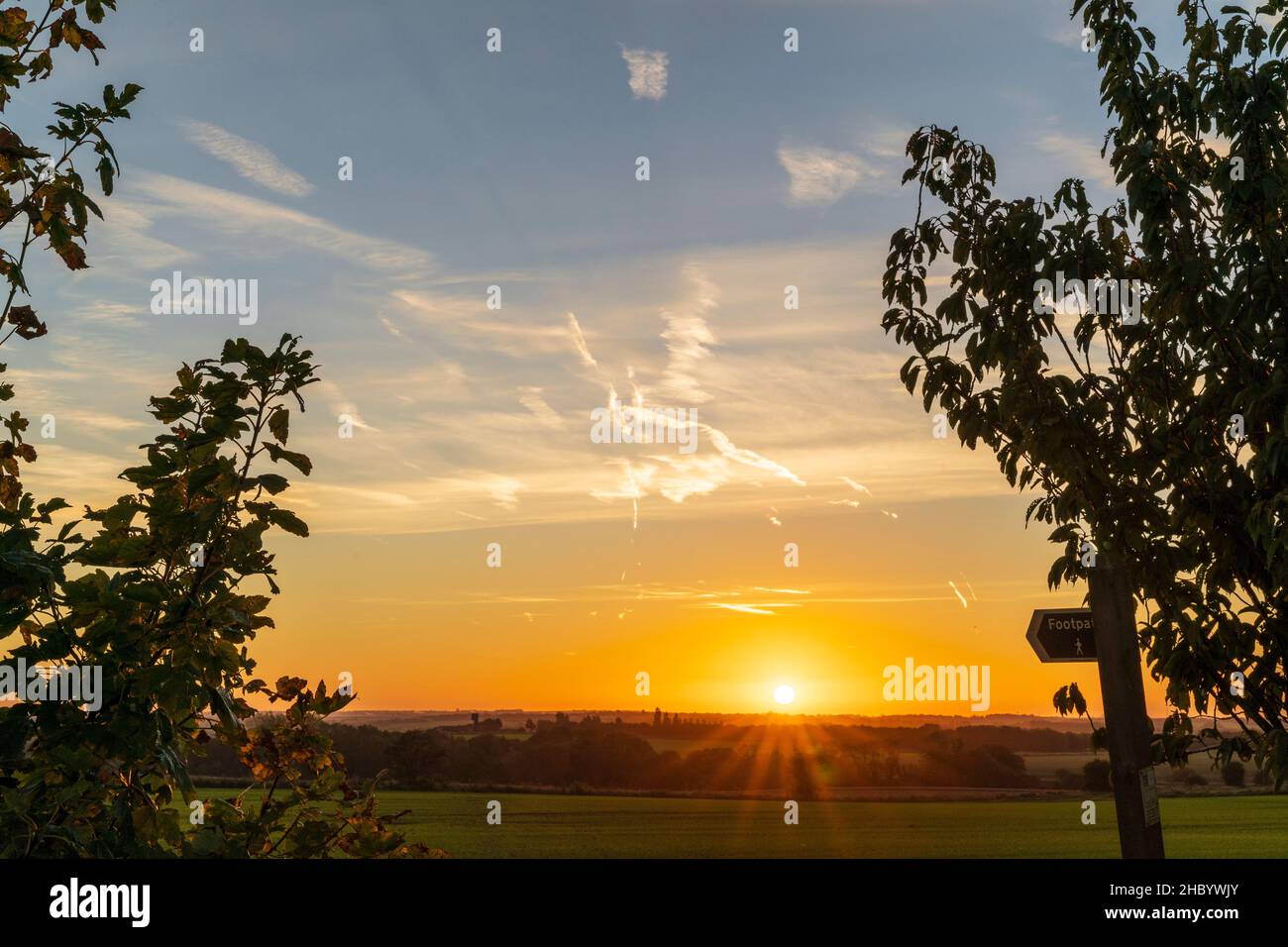 Sunrise over the Kent flat landscape with two trees in foreground ...