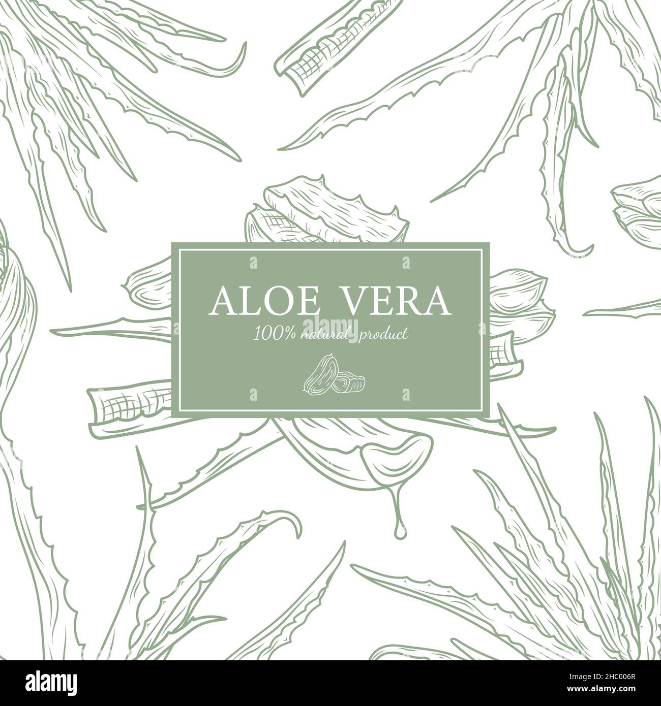 Hand Drawn Aloe Vera Card. Abstract Vector Aloe Sketch Background with ...