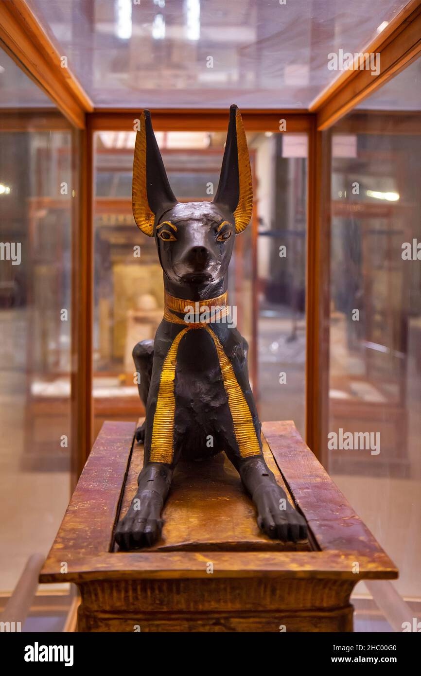 Statue of Anubis in Cairo museum, Egypt Stock Photo - Alamy