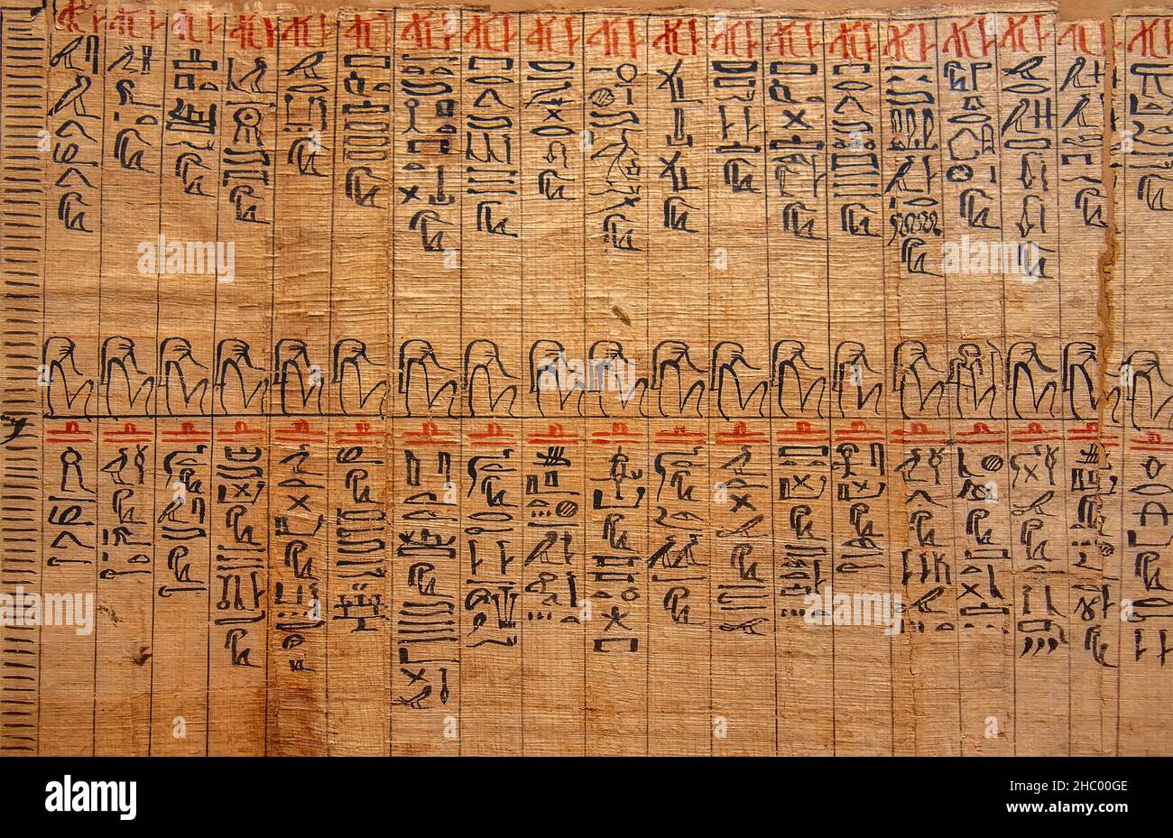 Ancient papyrus in Cairo museum, Egypt - detail Stock Photo - Alamy