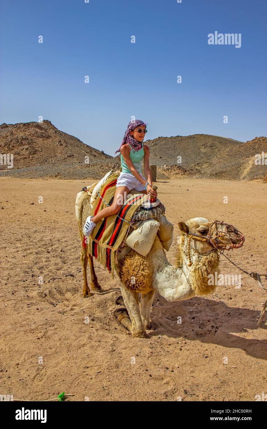 Girl riding camel in the Egyptian desert Stock Photo - Alamy