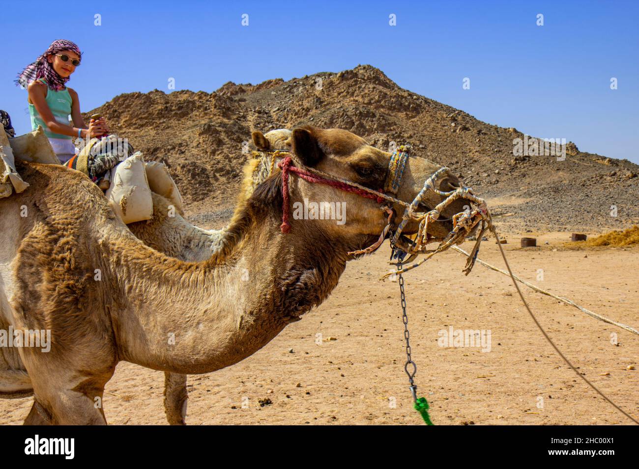Girls arabia hi-res stock photography and images - Alamy