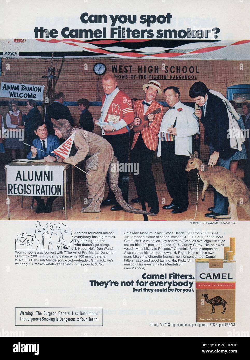 October 1973 issue of "Playboy" magazine advertisement, USA Stock Photo ...