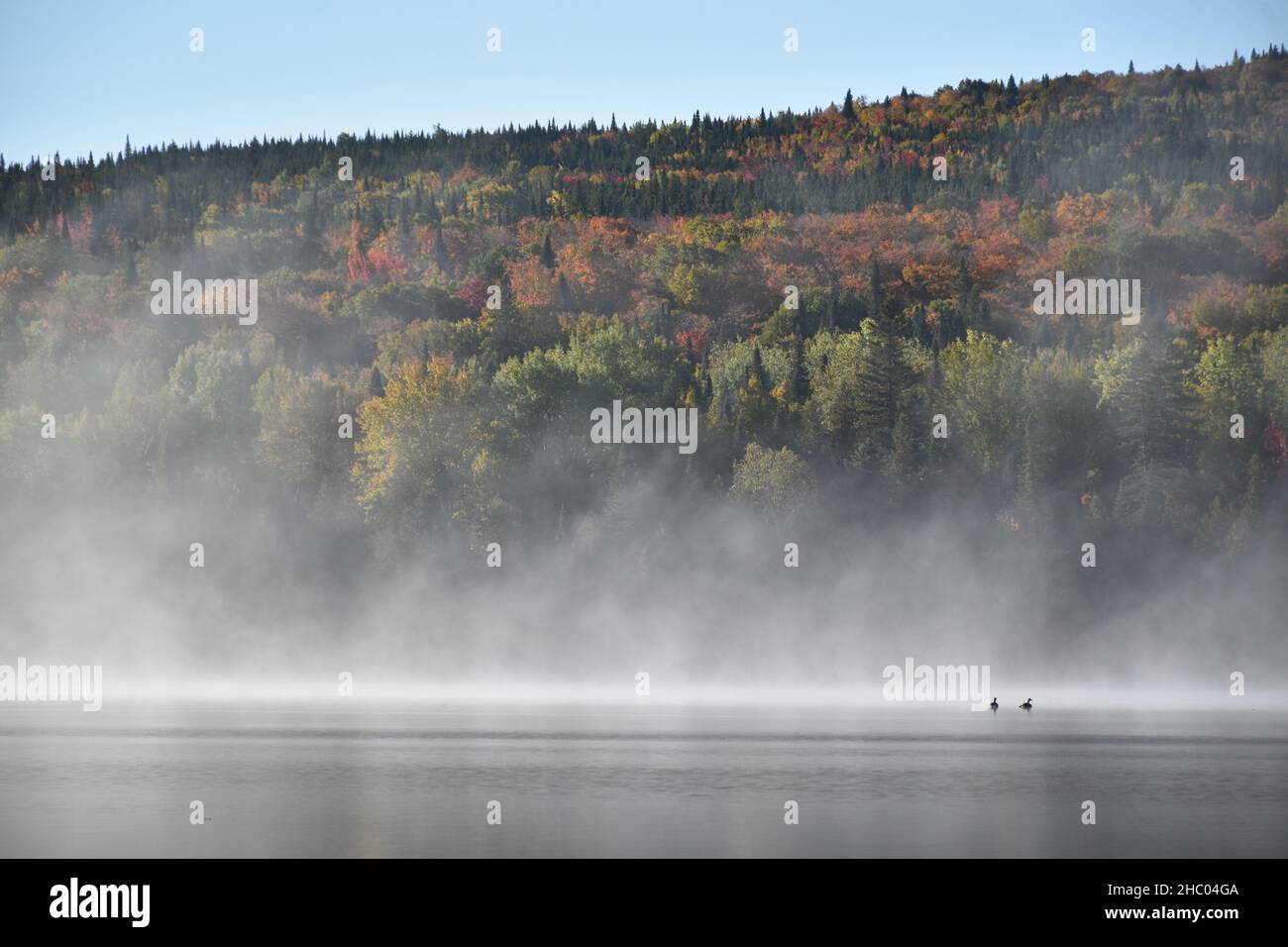 At the lake on an autumn morning Stock Photo - Alamy