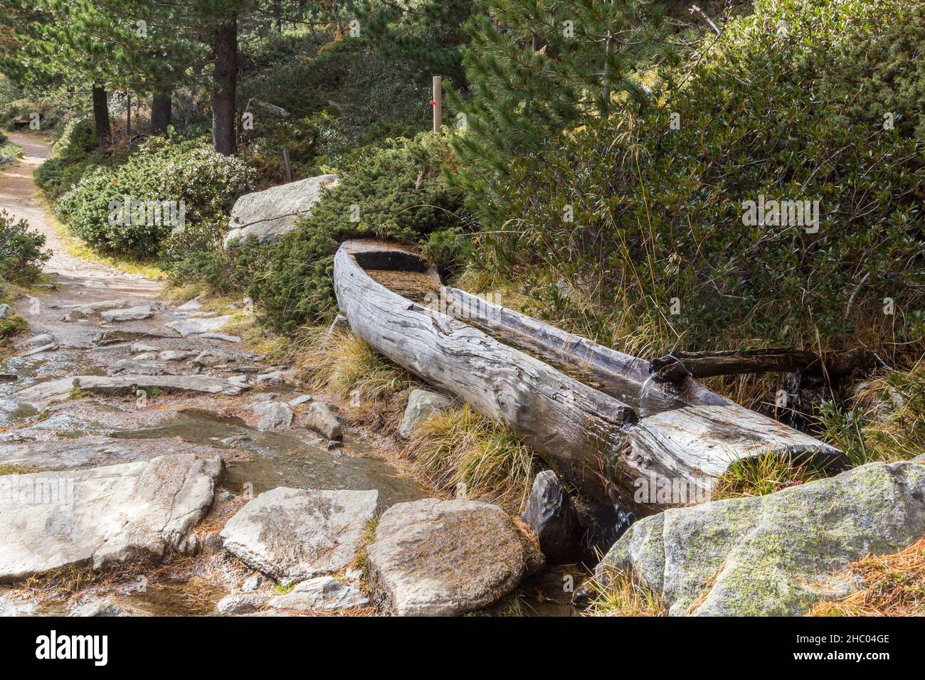 Wooden water trough in mountains providing drinkable water for ...