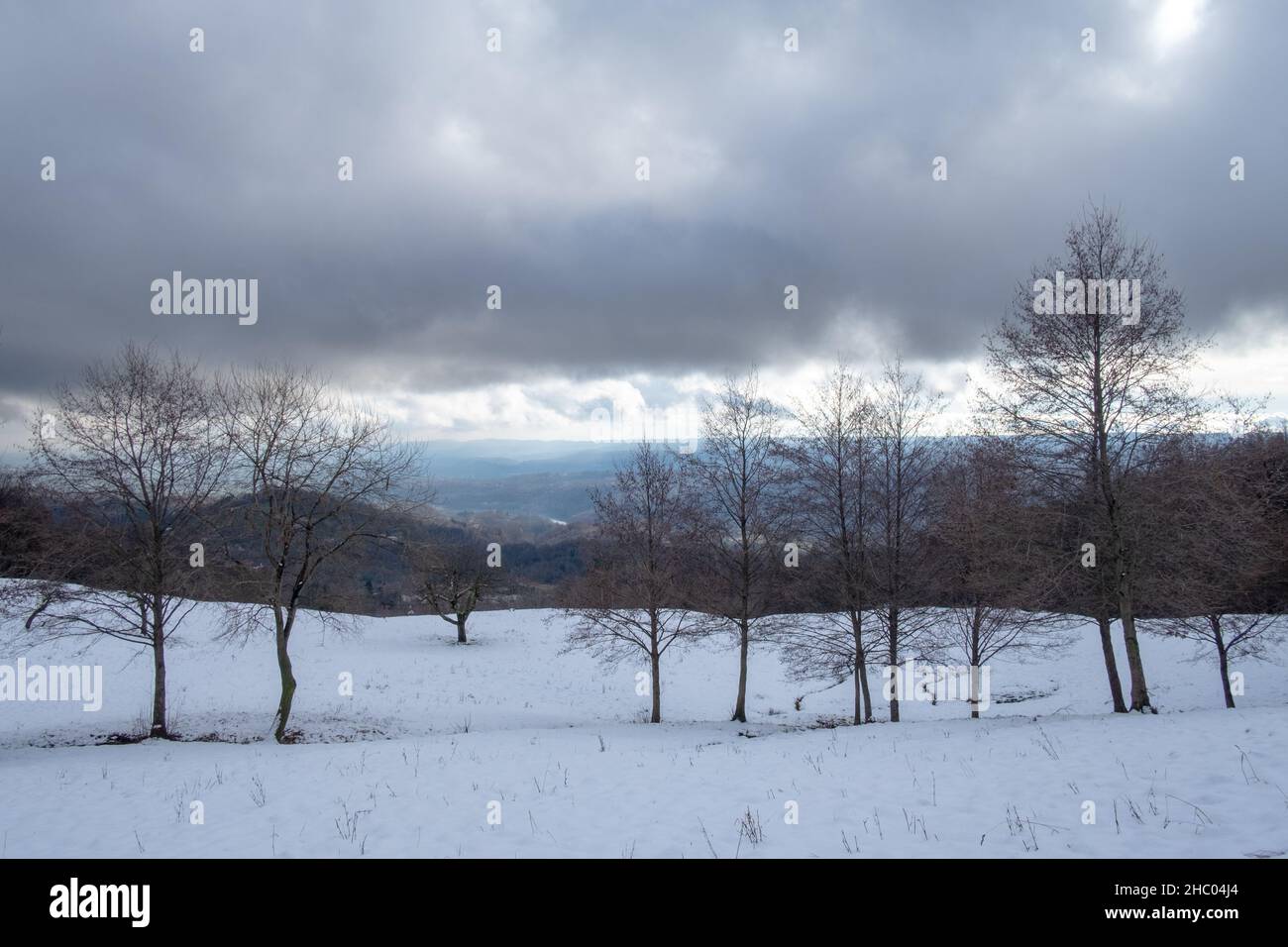 winter landscape on the plain with snow-capped mountains Stock Photo ...