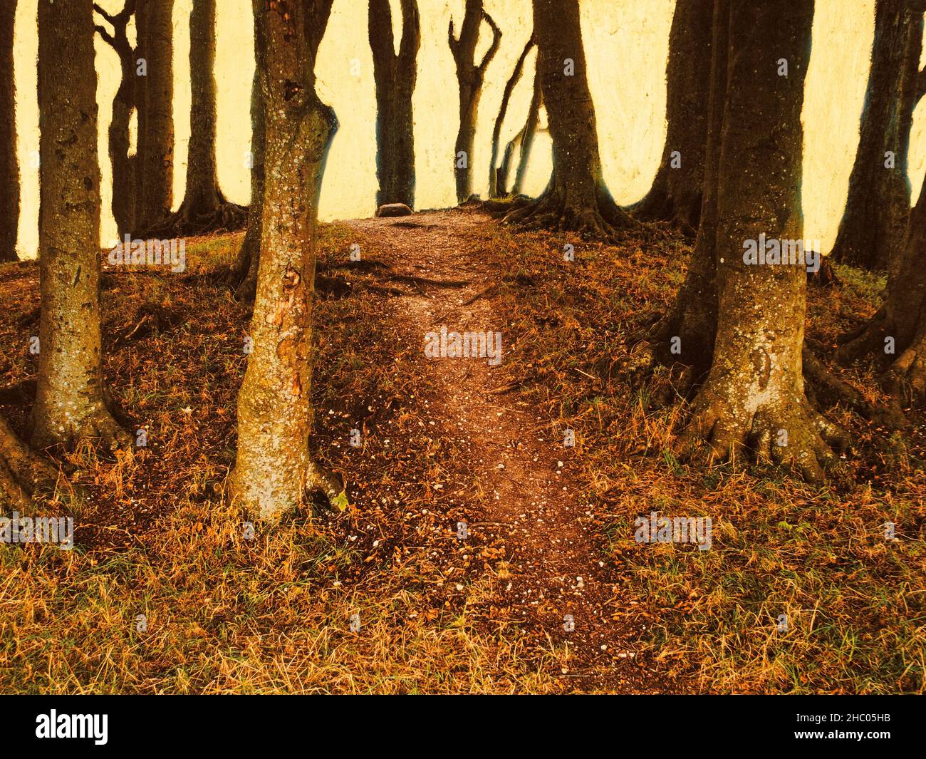 Barrow Mound, Woods, The Ridgeway Ancient Path,World Heritage Site ...