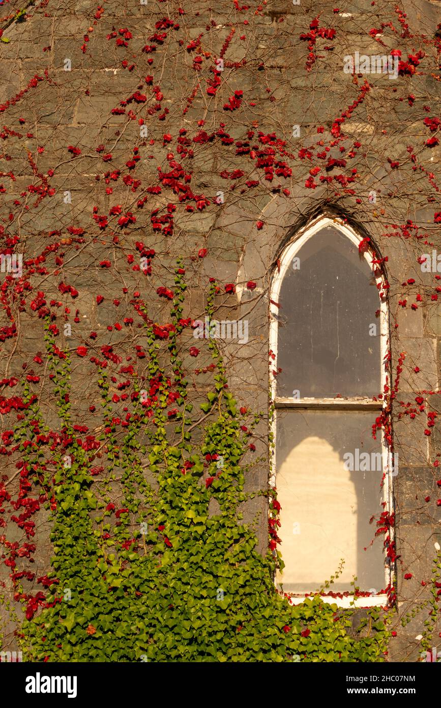 Window detail at the St. Mary's Roman Catholic Diocesan presbytery or ...