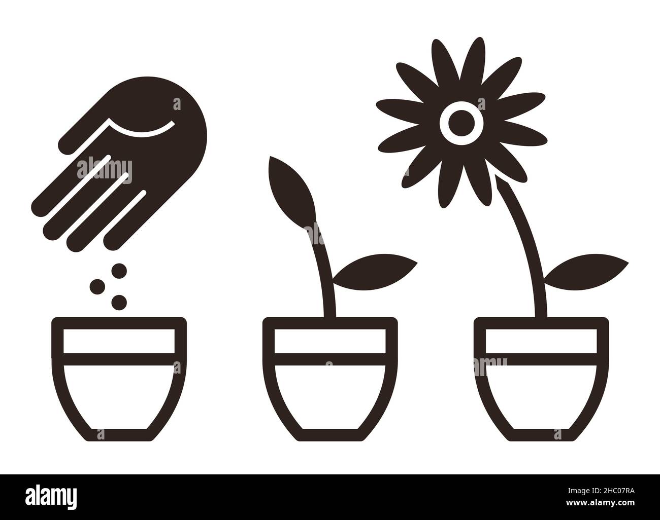 Flower planting illustration isolated on white background Stock Photo ...