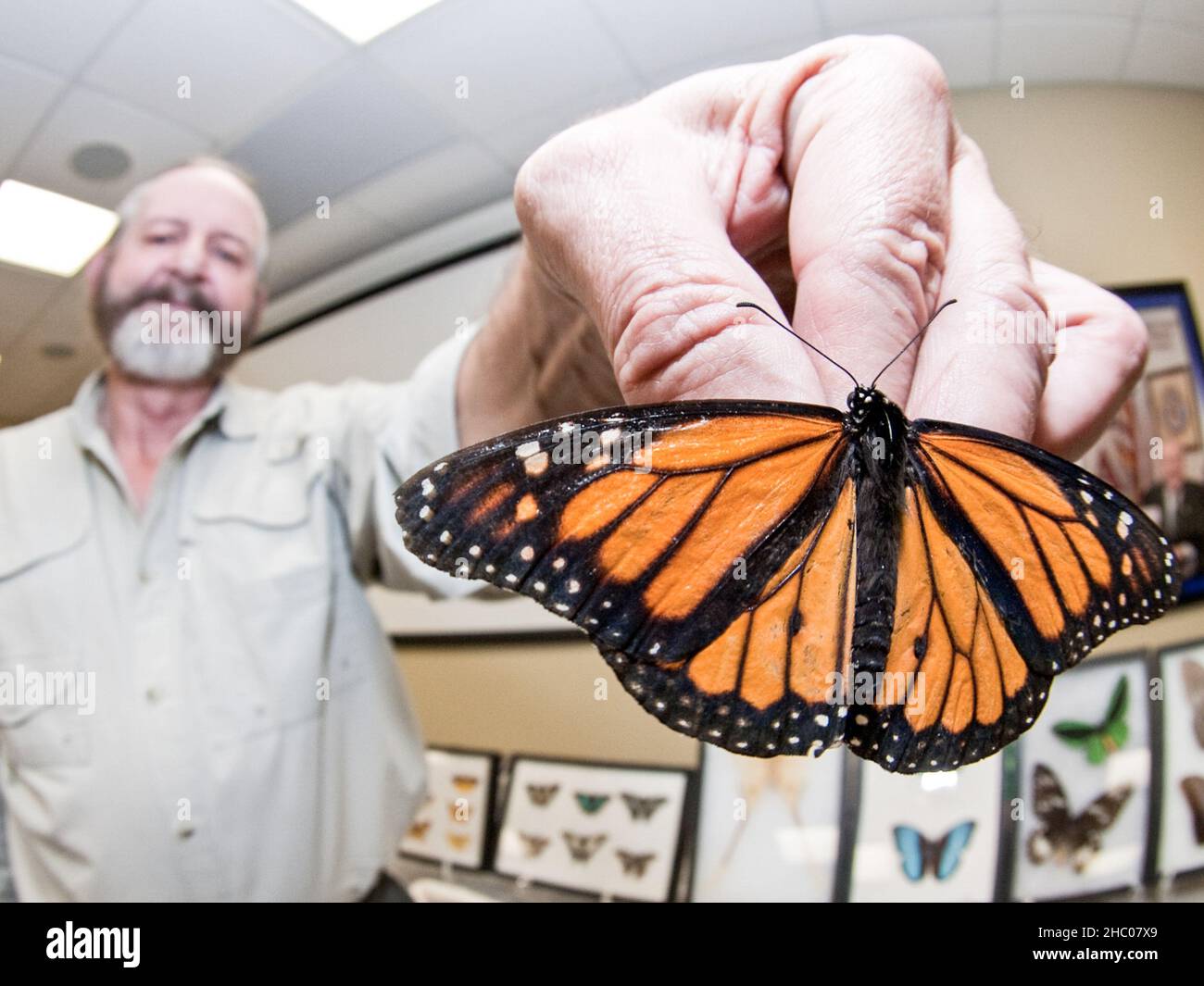 Waldwick - 01 MAR - Waldwick Library Butterfly Guy Rick Mikula holds a ...