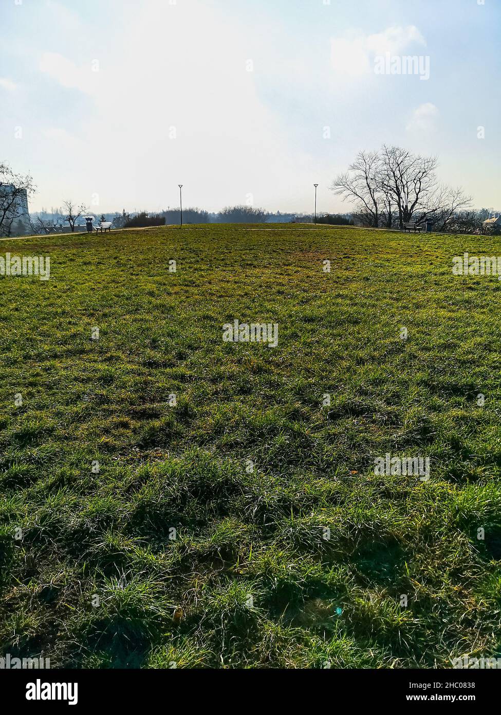 Big green field full of grass on small hill with path and benches ...