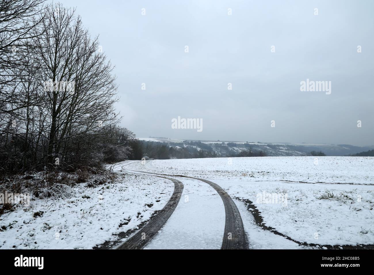 Winter landscape with freshly fallen snow in the morning Stock Photo ...